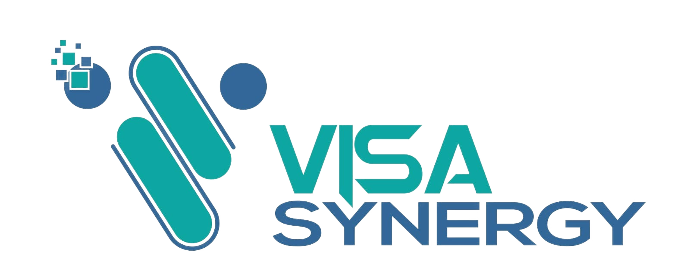 Login | Visa Synergy